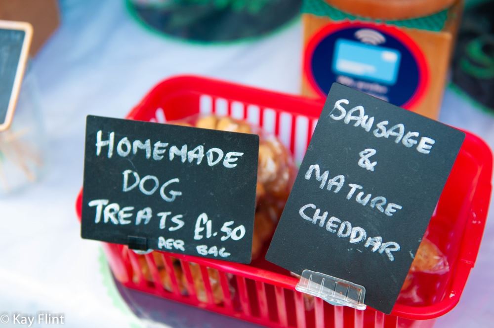 Feasty Fest 2022 Review